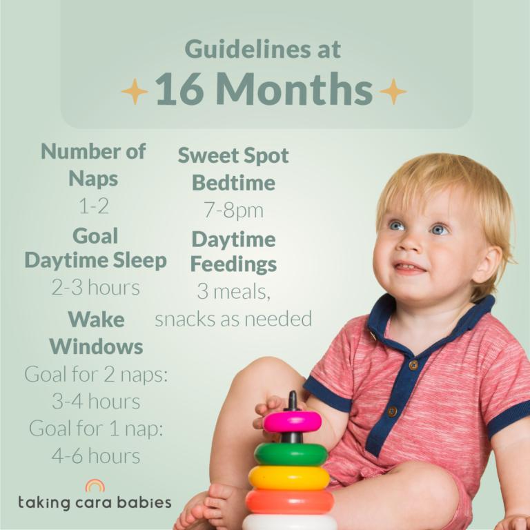 16 Month Old Sleep Schedule | Taking Cara Babies