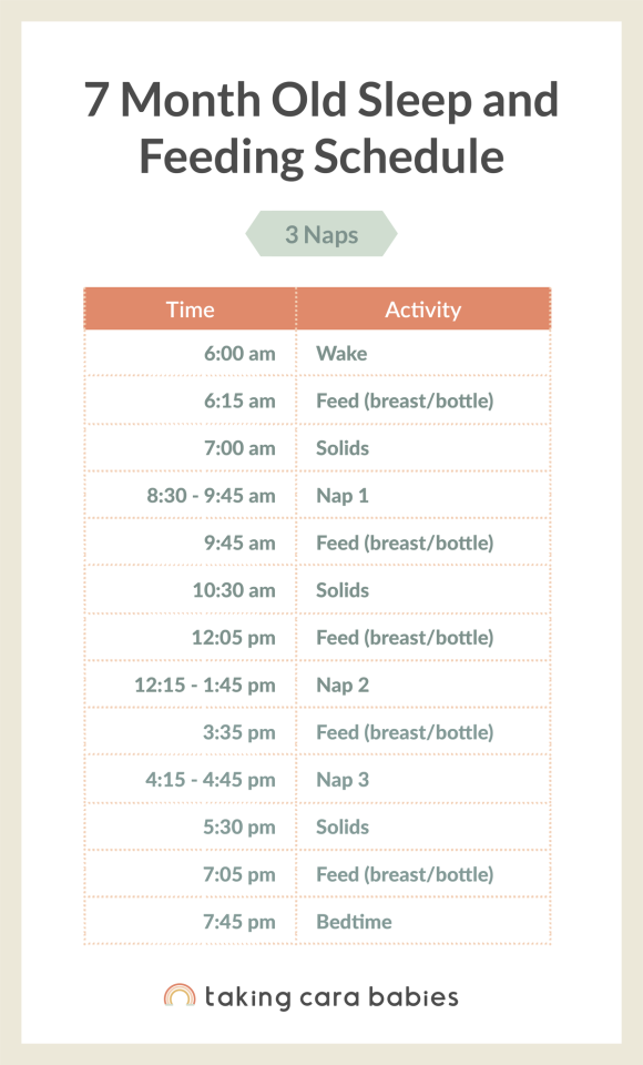 7 Month Old Sleep Schedule | Taking Cara Babies