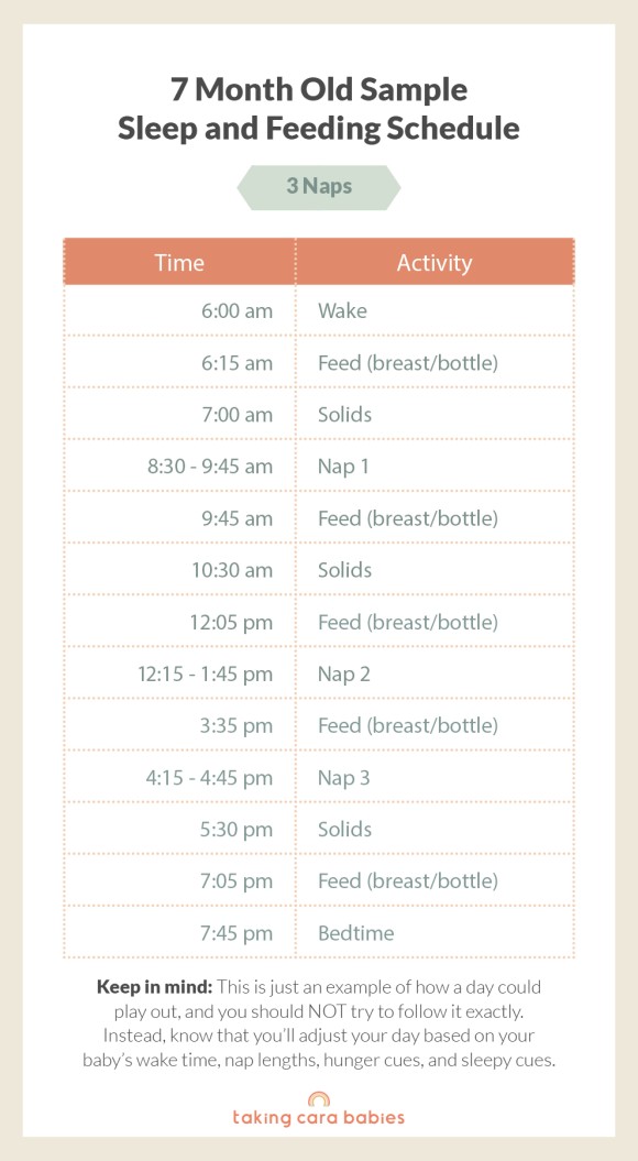 7 Month Old Sleep Schedule | Taking Cara Babies